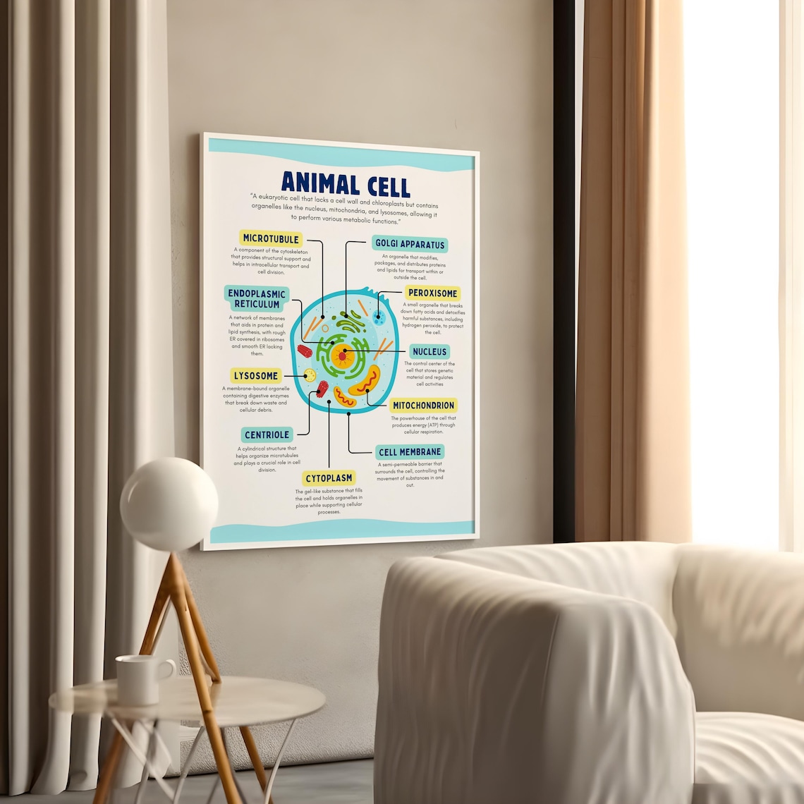 Animal Cell Structure Poster - Biology Educational Print - Science ...