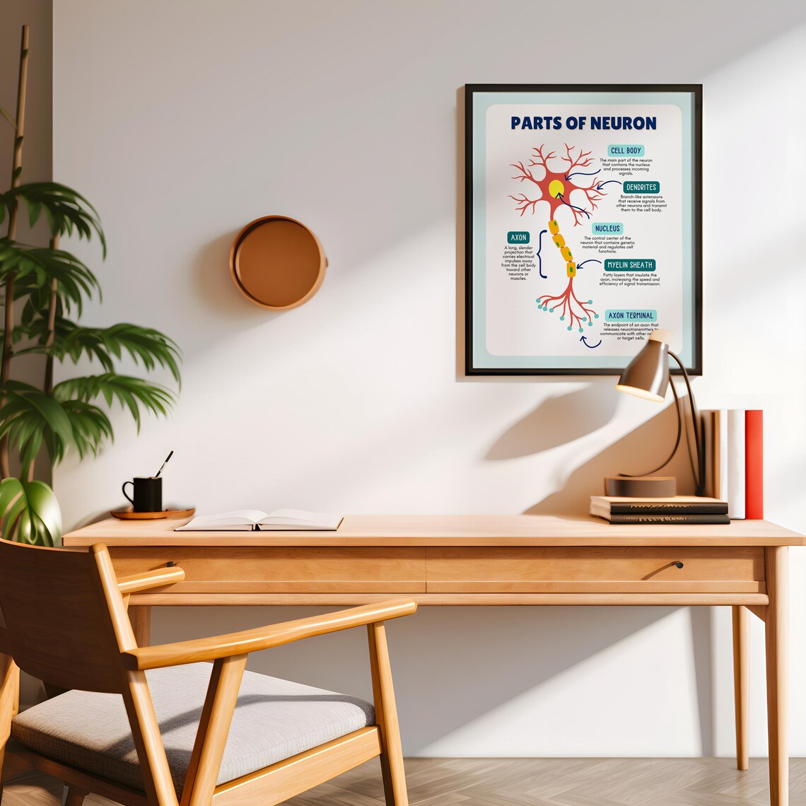 Parts of Neuron - Biology Poster - Anatomy Wall Art - Wall Hanging for ...
