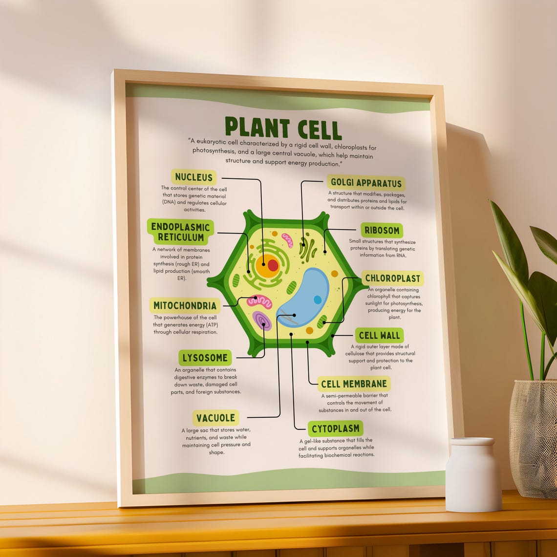 Plant Cell Structure Poster: Biology Classroom Art (digital Download ...