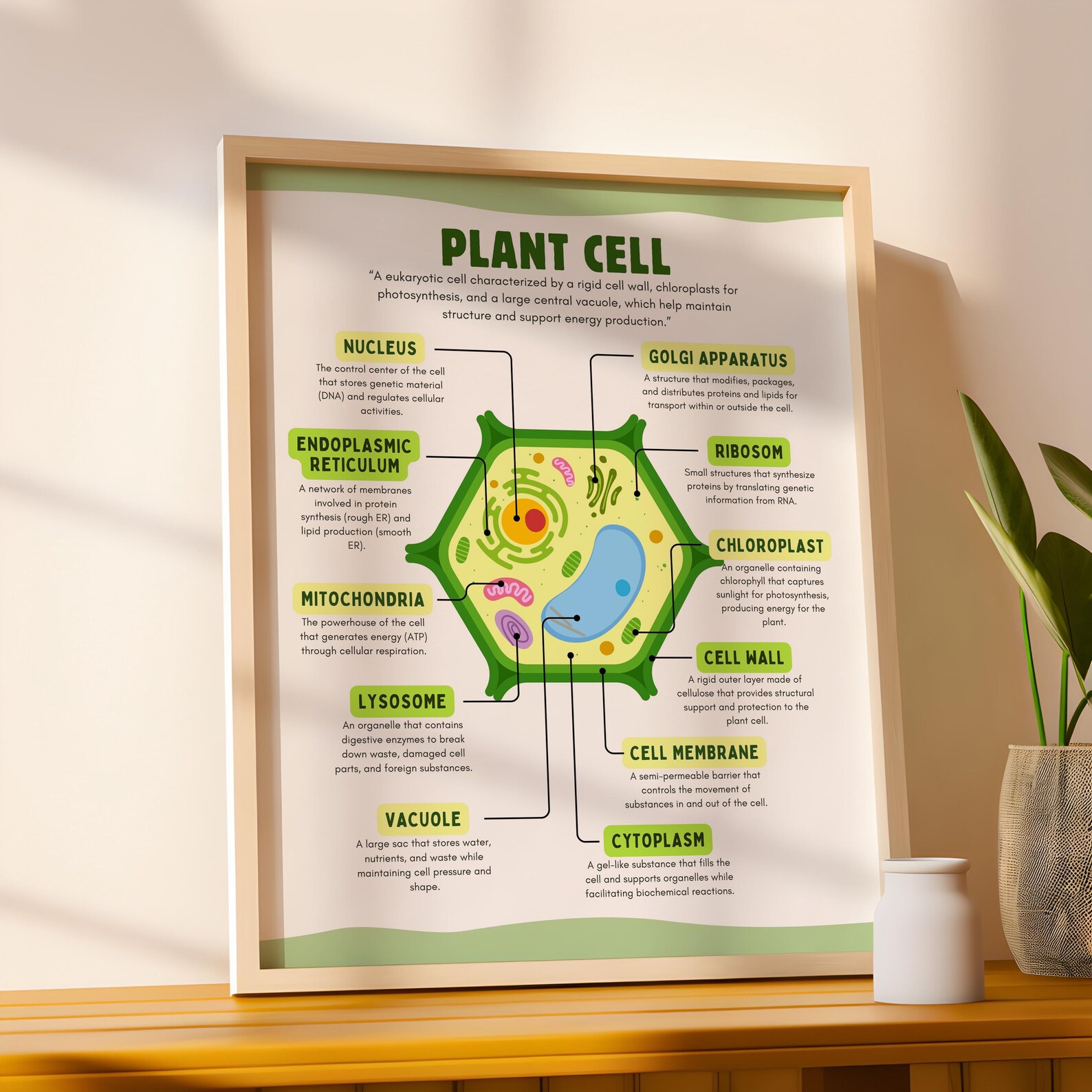 Plant Cell Structure Poster - Biology Educational Print - Science ...
