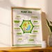 Plant Cell Structure Poster: Biology Classroom Art (digital Download ...