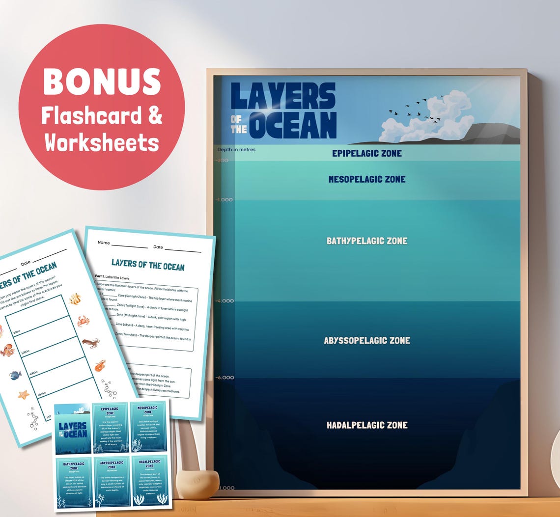 Layers of the Ocean Print - Ocean Flashcard - Worksheet for Kids ...