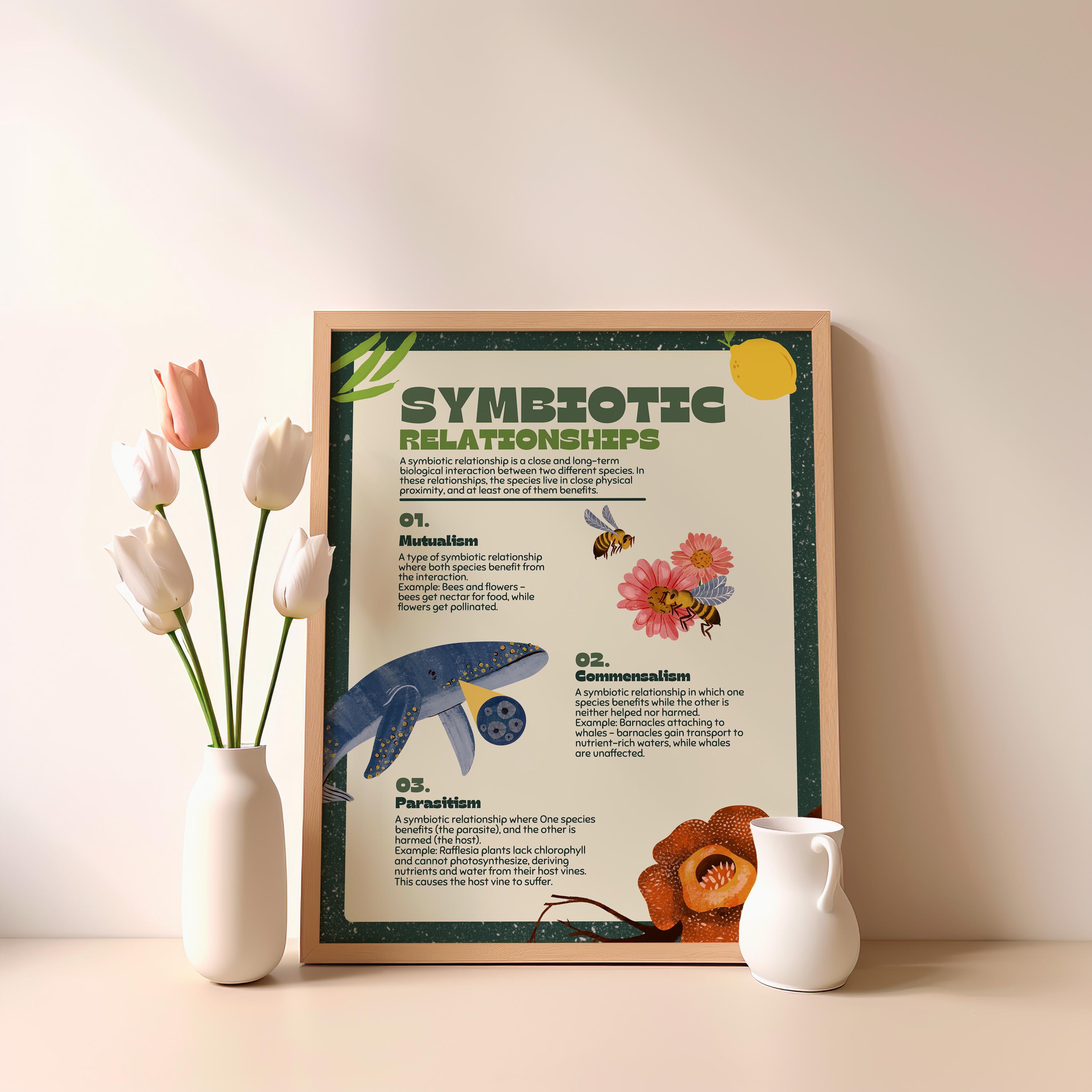 Symbiotic Relationships Poster: Modern Science Classroom Decor (digital ...