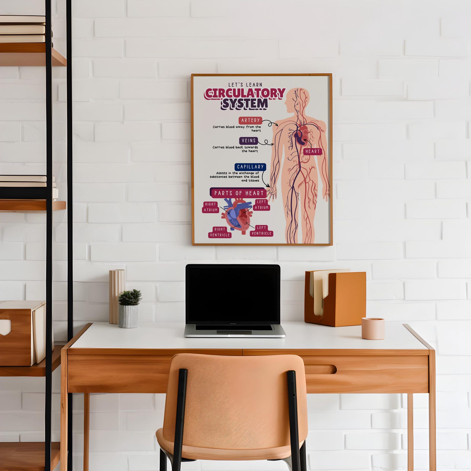 Circulatory System Print - Human Body System Poster - Anatomy Wall Art ...