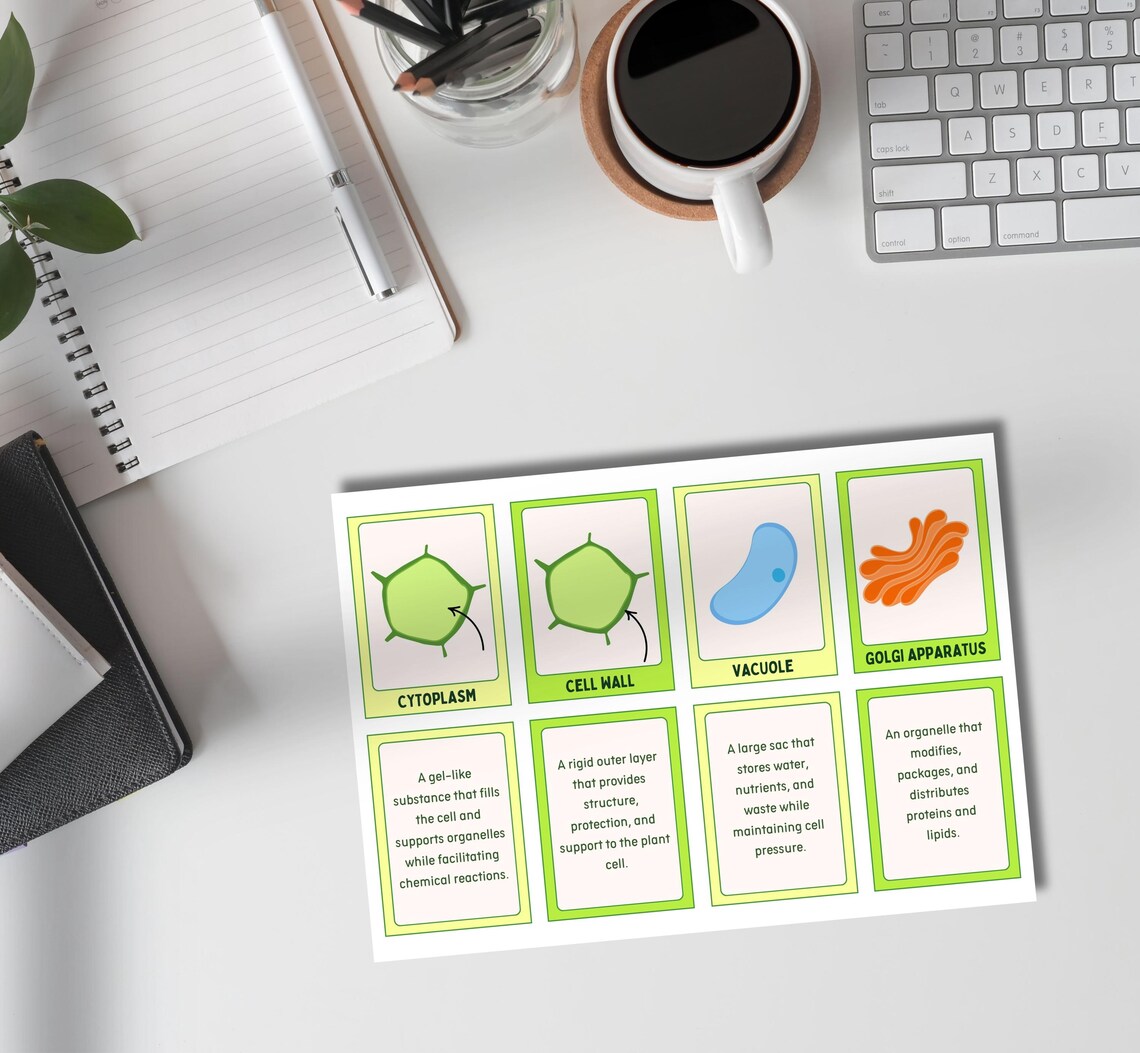 Plant Cell Structure Poster: Biology Classroom Art (digital Download ...