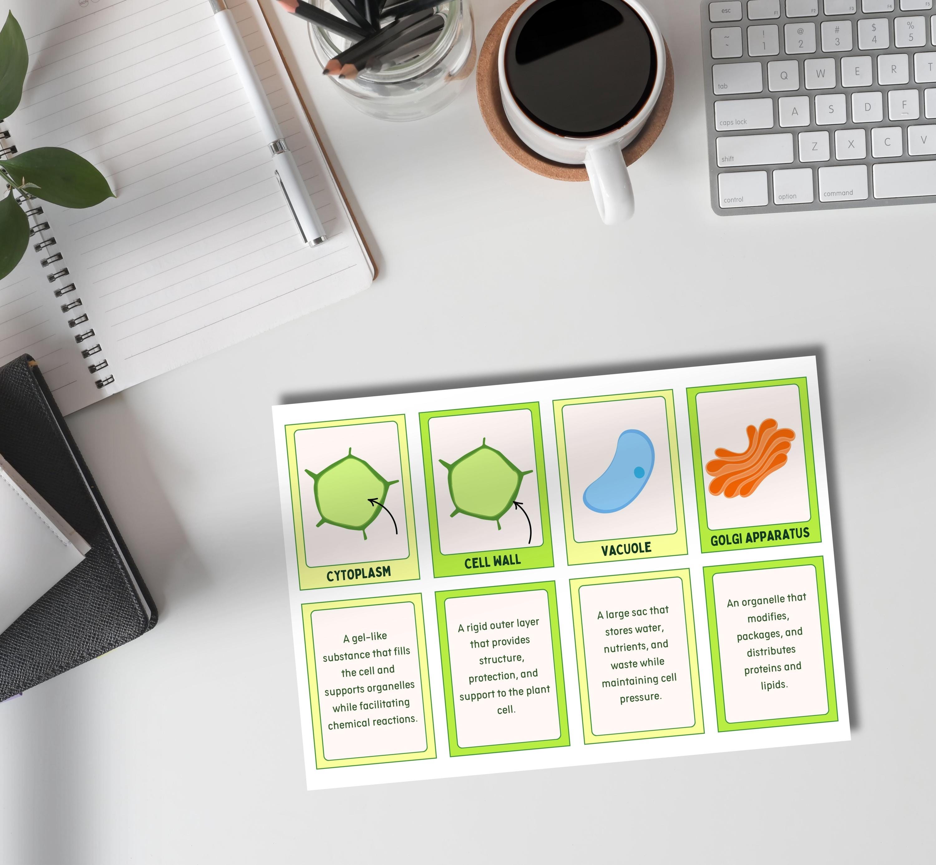 Plant Cell Structure Poster: Biology Classroom Art (digital Download ...