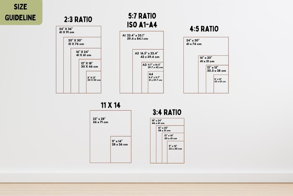Animal Cell Structure Poster: Biology Classroom Decor (digital Download ...
