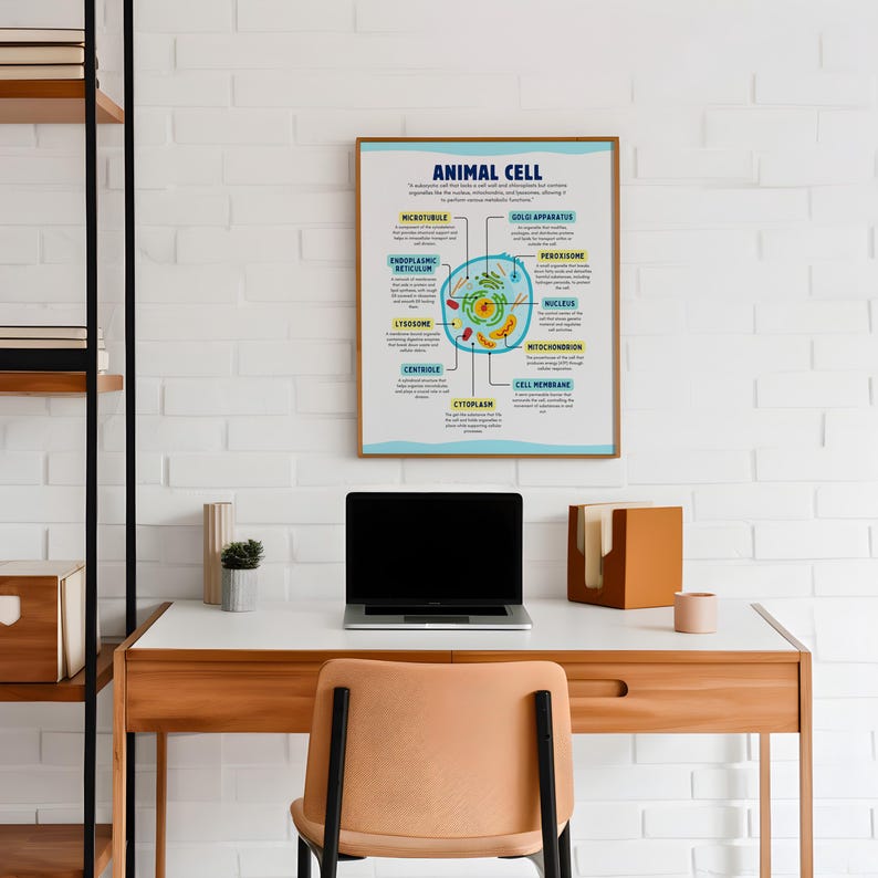 Animal Cell Structure Poster: Biology Classroom Decor (digital Download ...