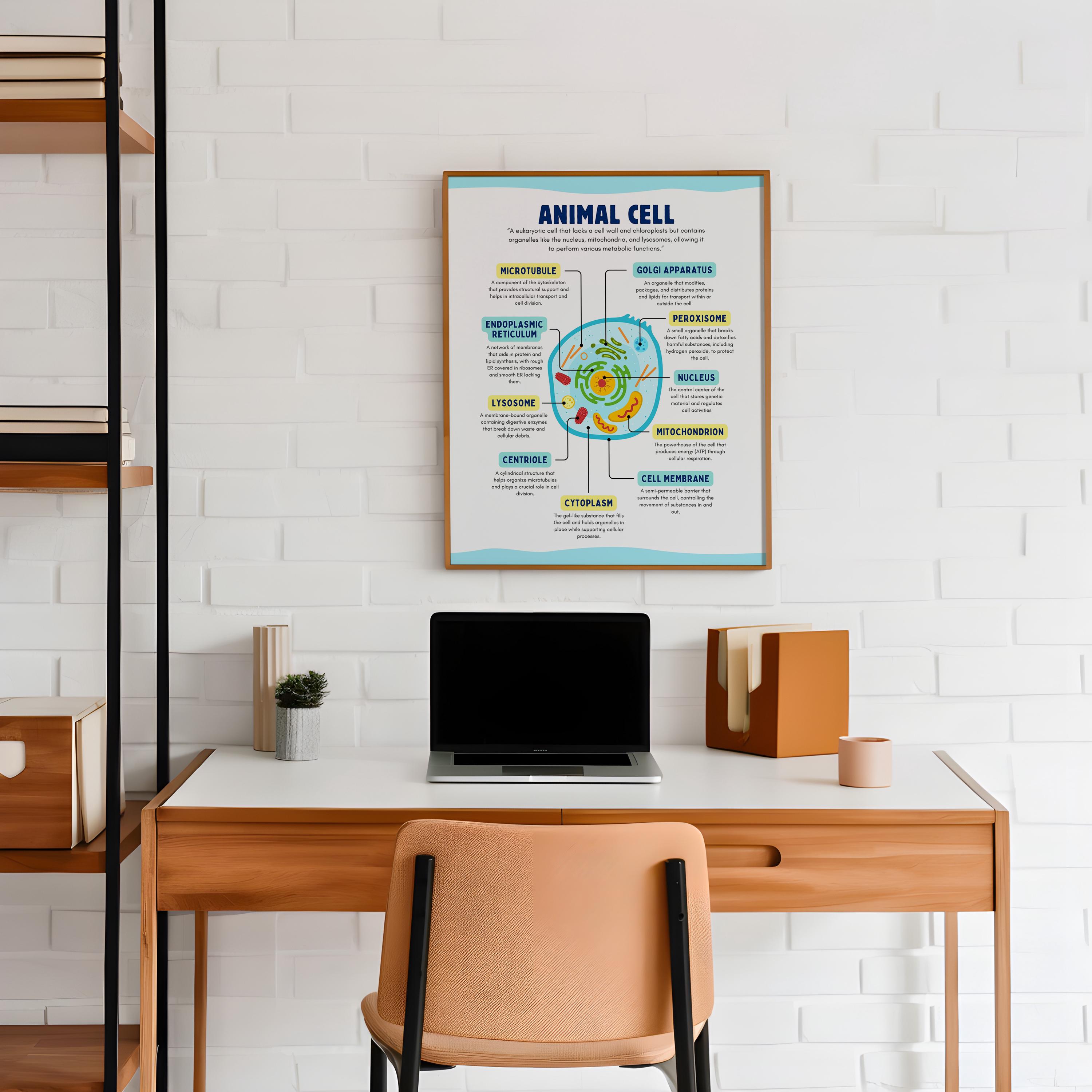 Animal Cell Structure Poster - Biology Educational Print - Science ...