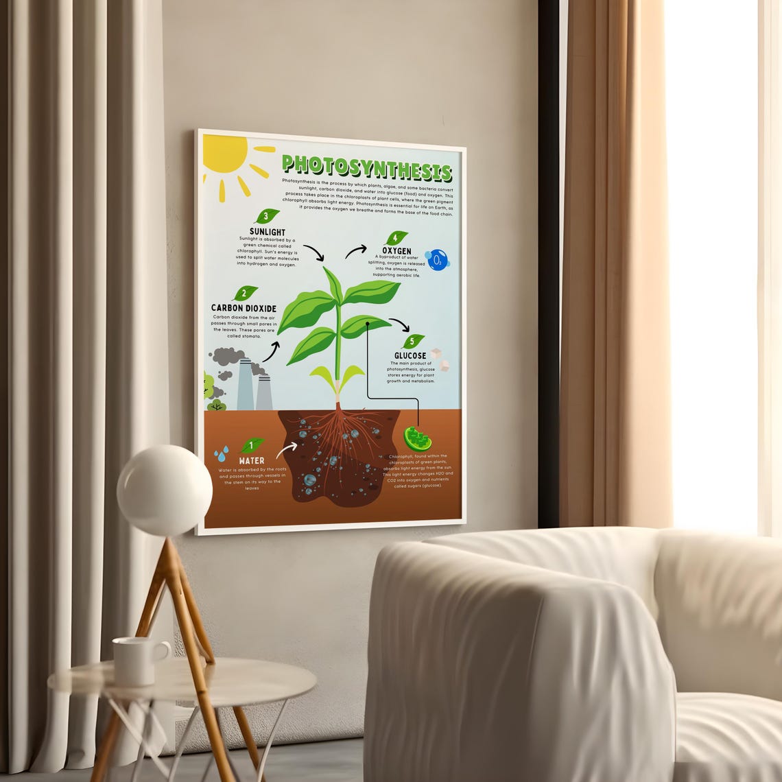 Photosynthesis Poster - Biology Educational Print - Photosynthesis ...