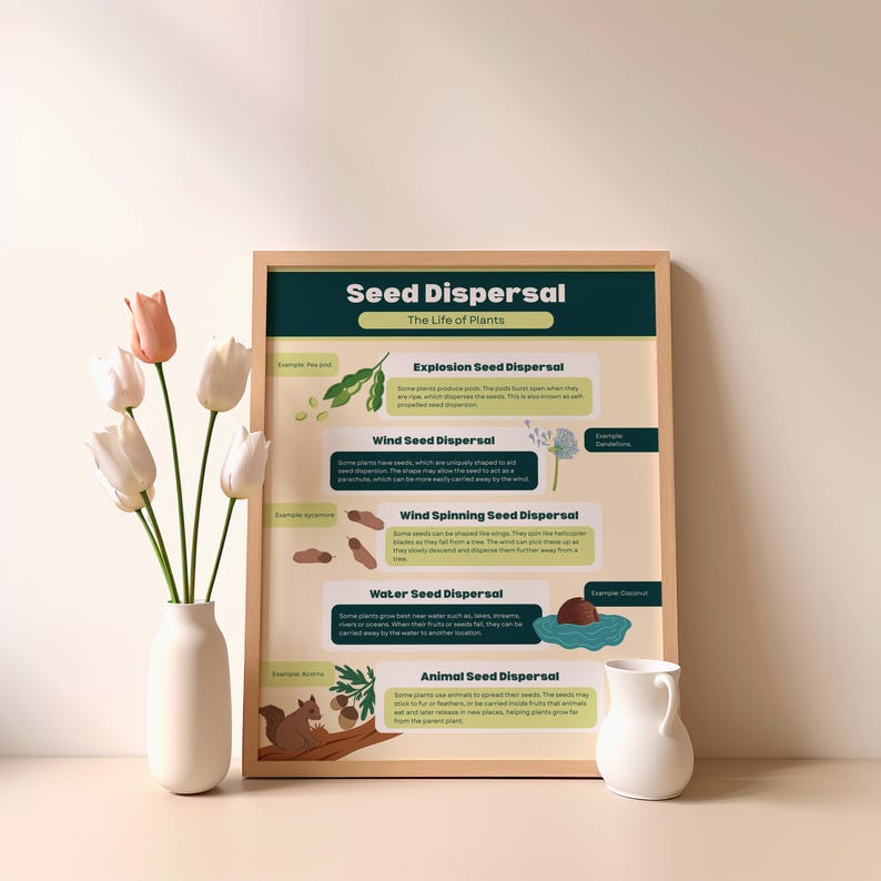 Seed Dispersal Methods Poster – Wind, Water, Animals, and Explosion ...