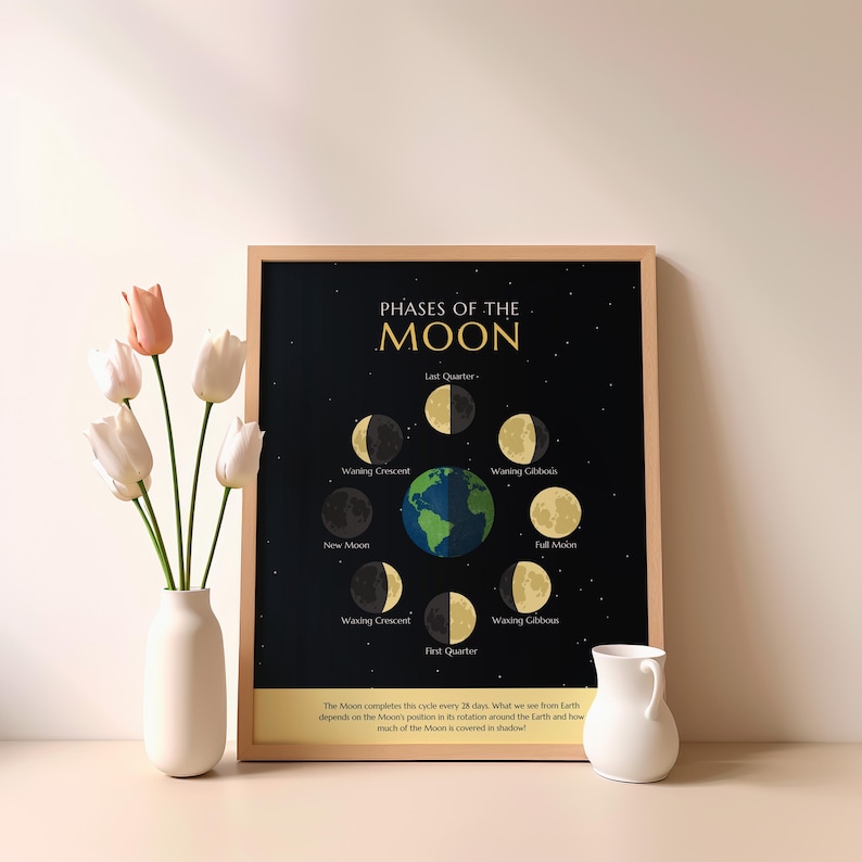 Lunar Phases Print - Educational Moon Cycle Poster (digital Print) - Etsy