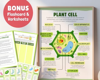 Animal Cell Structure Poster - Biology Educational Print - Science ...