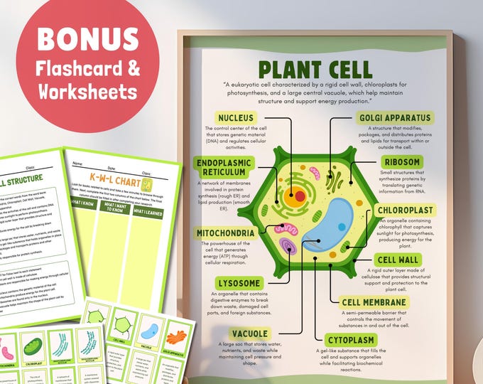 Kids Science, Biology Posters, Room Decor, Educational, Homeschool, Pre ...