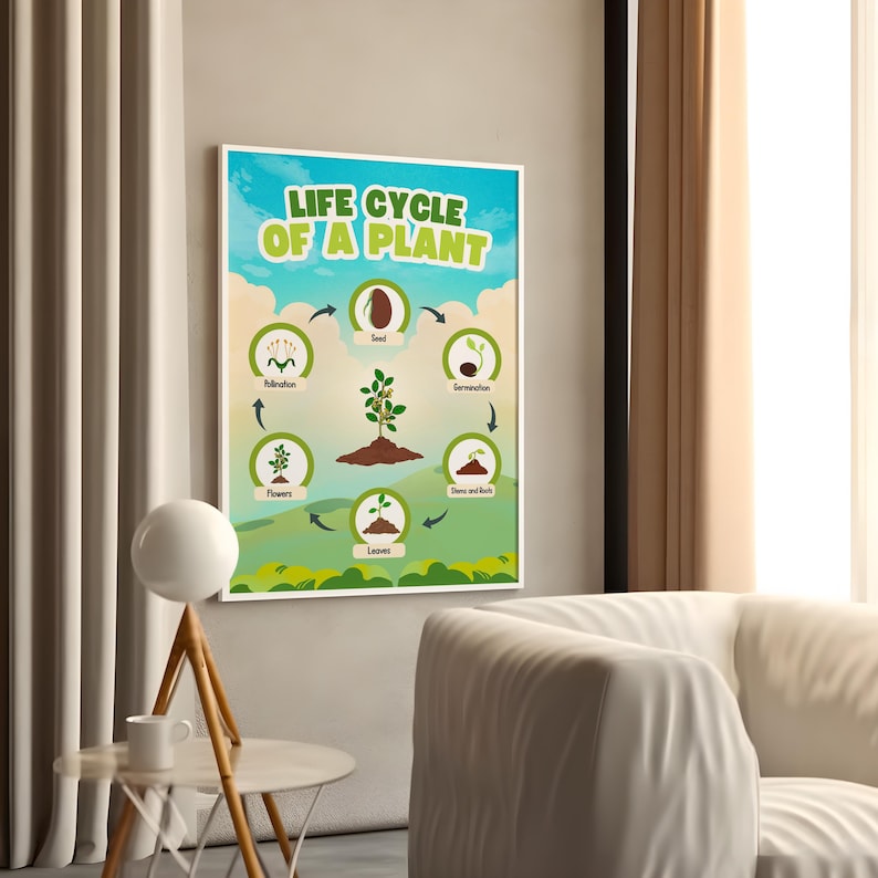 Life Cycle of a Plant Poster | Seed Germination, Growth, Flowering ...