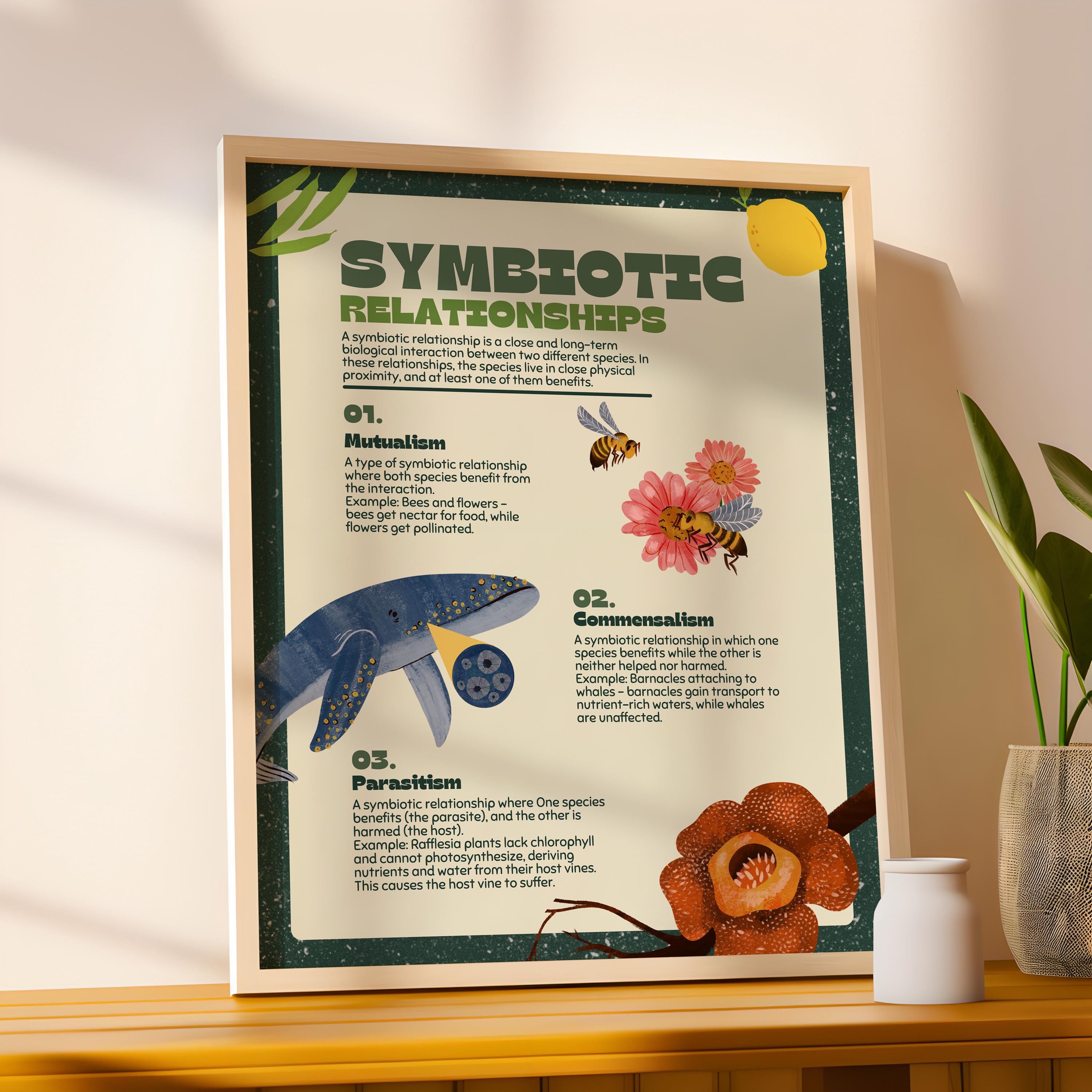 Symbiotic Relationships Poster: Modern Science Classroom Decor (digital ...