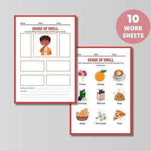The 5 Senses Print - Worksheet for Kids, 5 Senses Flashcards, Toddlers ...