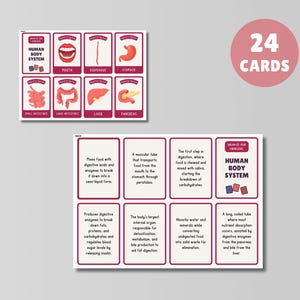 Human Body Flashcards: Double Sided Science Cards (digital Download) - Etsy