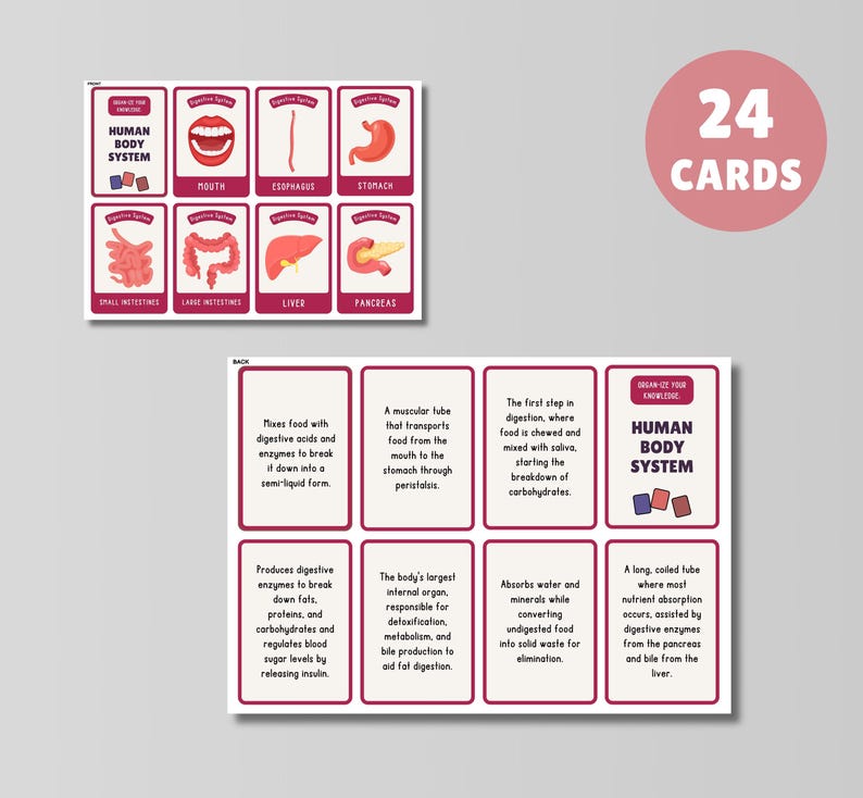 Human Body Flashcards: Double Sided Science Cards (digital Download) - Etsy