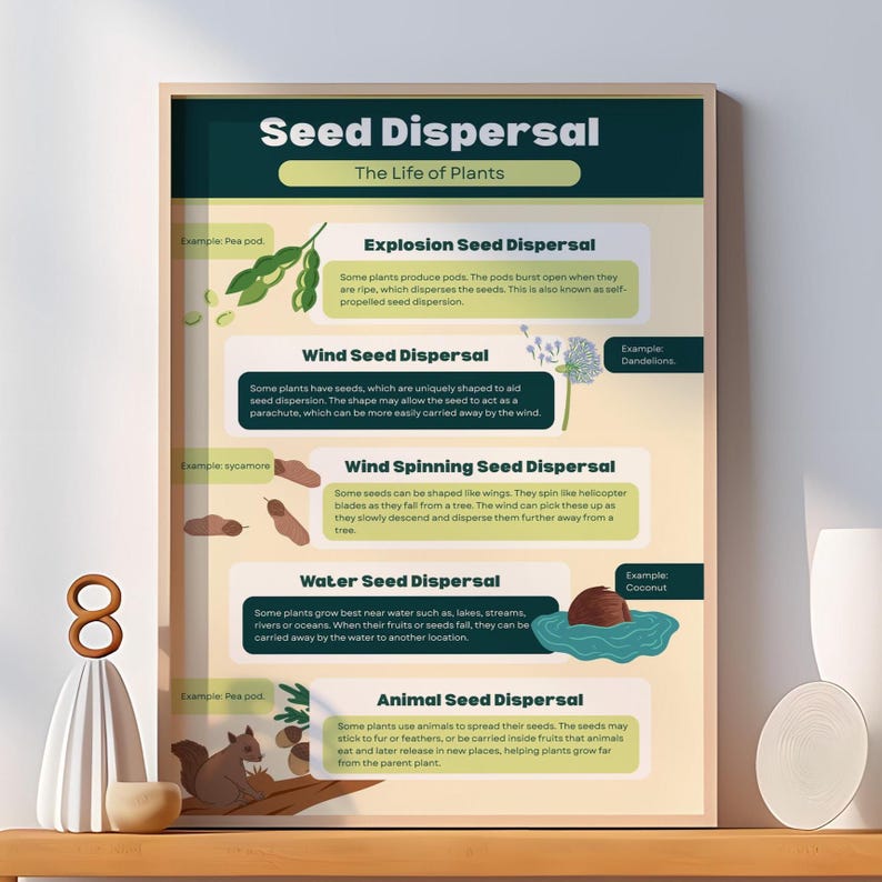 Seed Dispersal Methods Poster – Wind, Water, Animals, and Explosion ...