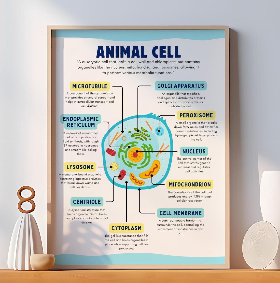 Animal Cell Structure Poster - Biology Educational Print - Science ...