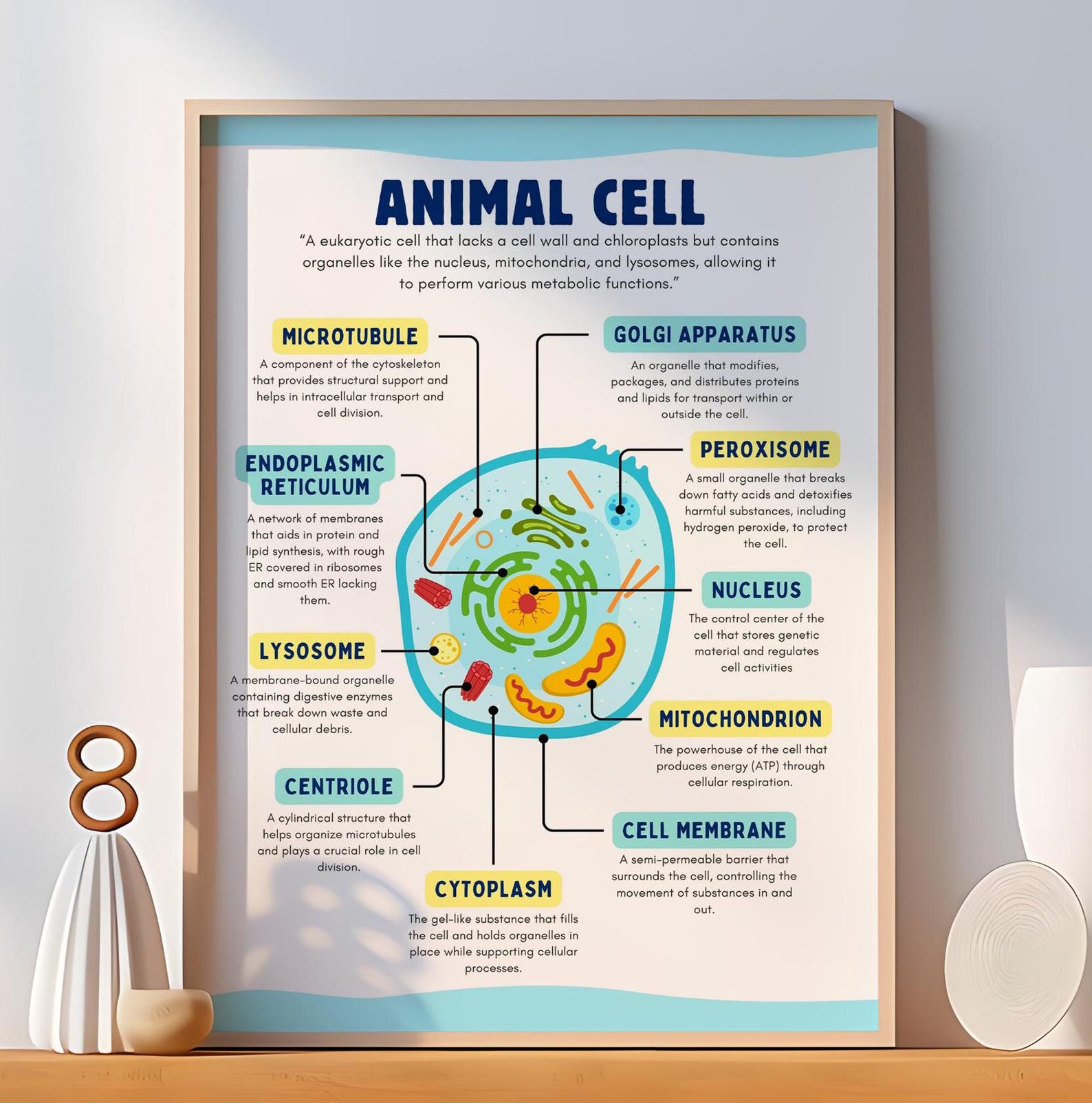 Animal Cell Structure Poster: Biology Classroom Decor (digital Download ...