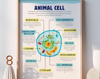 EDUCATIONAL- Animal Cell Poster - Etsy