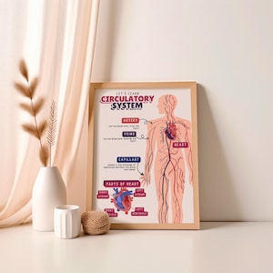 Circulatory System Print - Human Body System Poster - Anatomy Wall Art ...