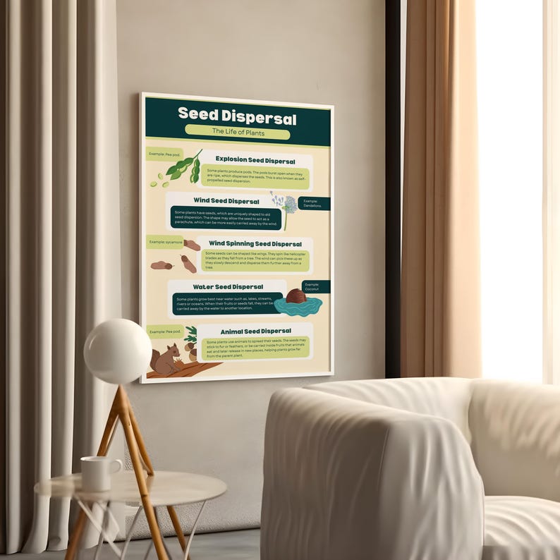 Seed Dispersal Methods Poster – Wind, Water, Animals, and Explosion ...