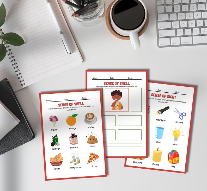 The 5 Senses Print - Worksheet for Kids, 5 Senses Flashcards, Toddlers ...