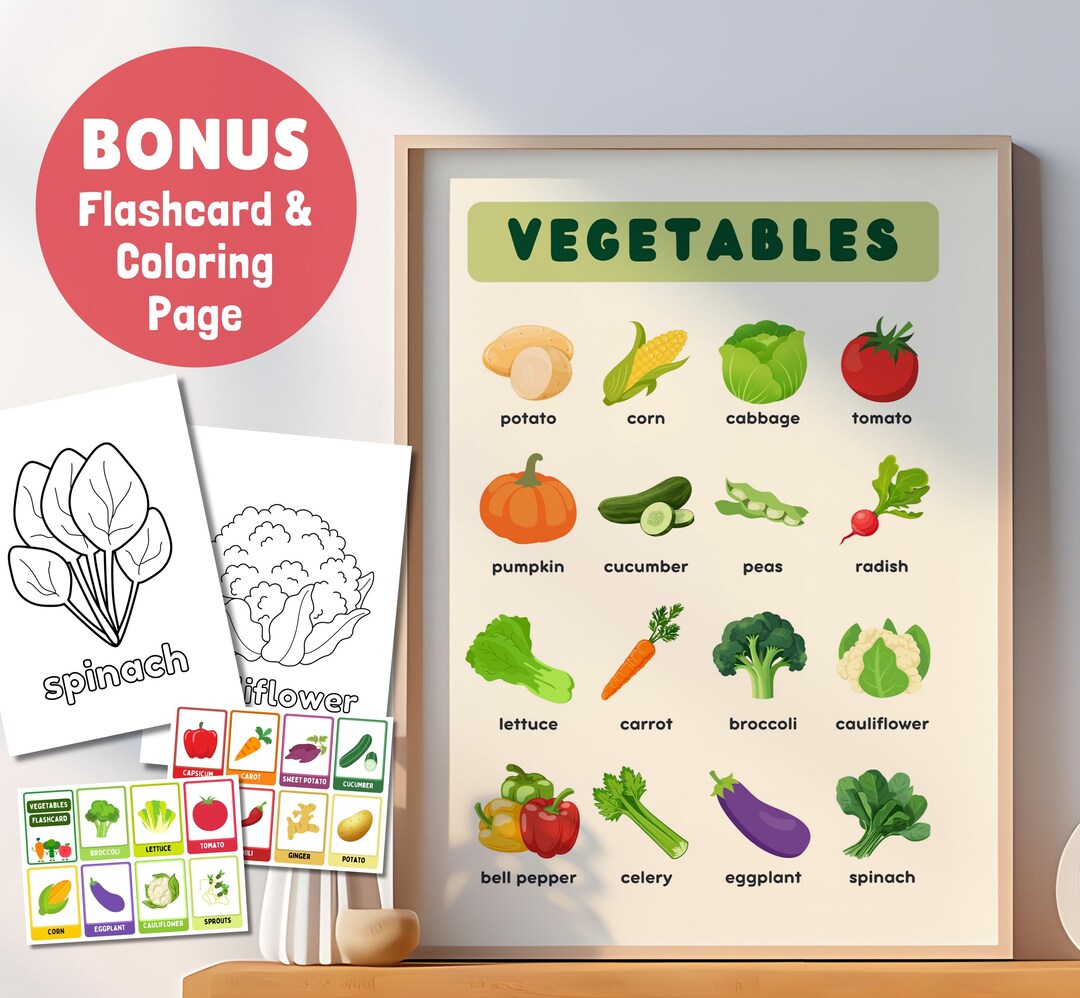 Vegetables Educational Poster: Flashcard & Coloring Page (digital ...