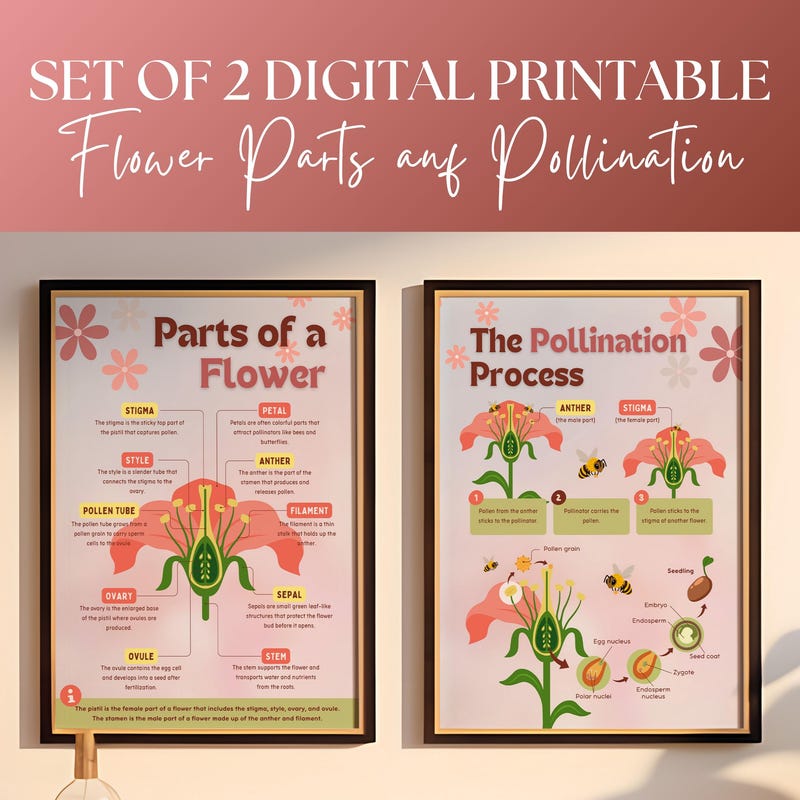 Pollinator Education - Etsy