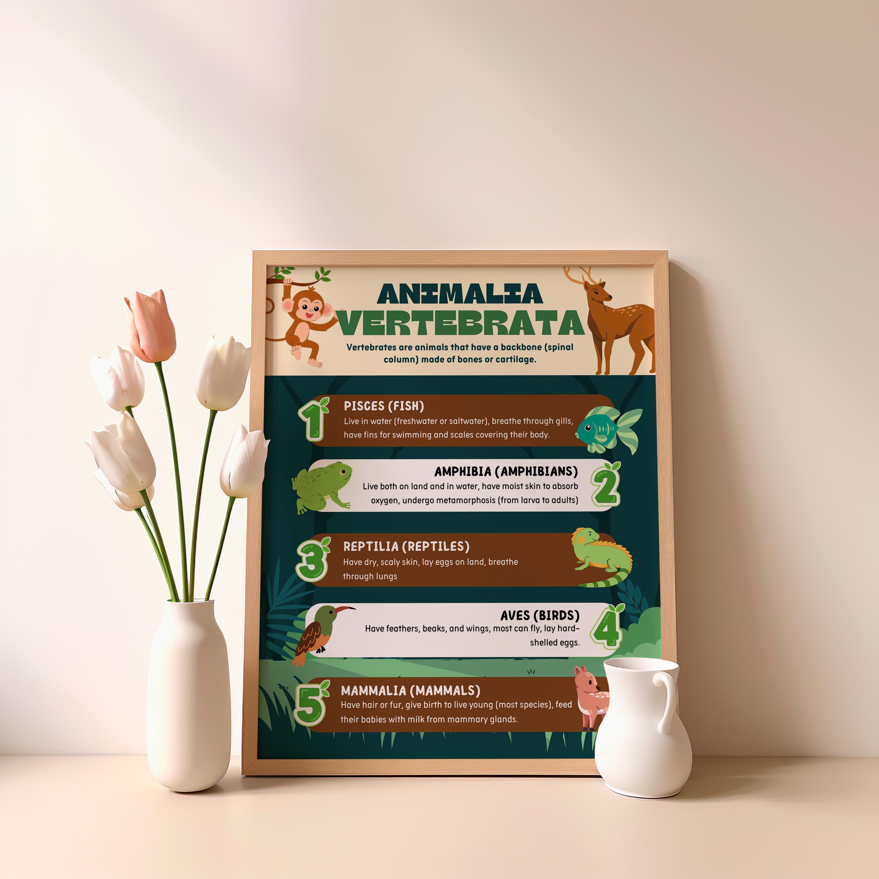 Vertebrate Animals Poster – Science Classroom Decor (digital Download ...