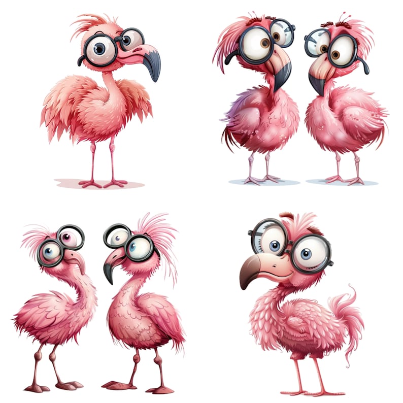 Funny Flamingo Clipart Cartoon Flamingo PNG, Digital Download, Humorous ...