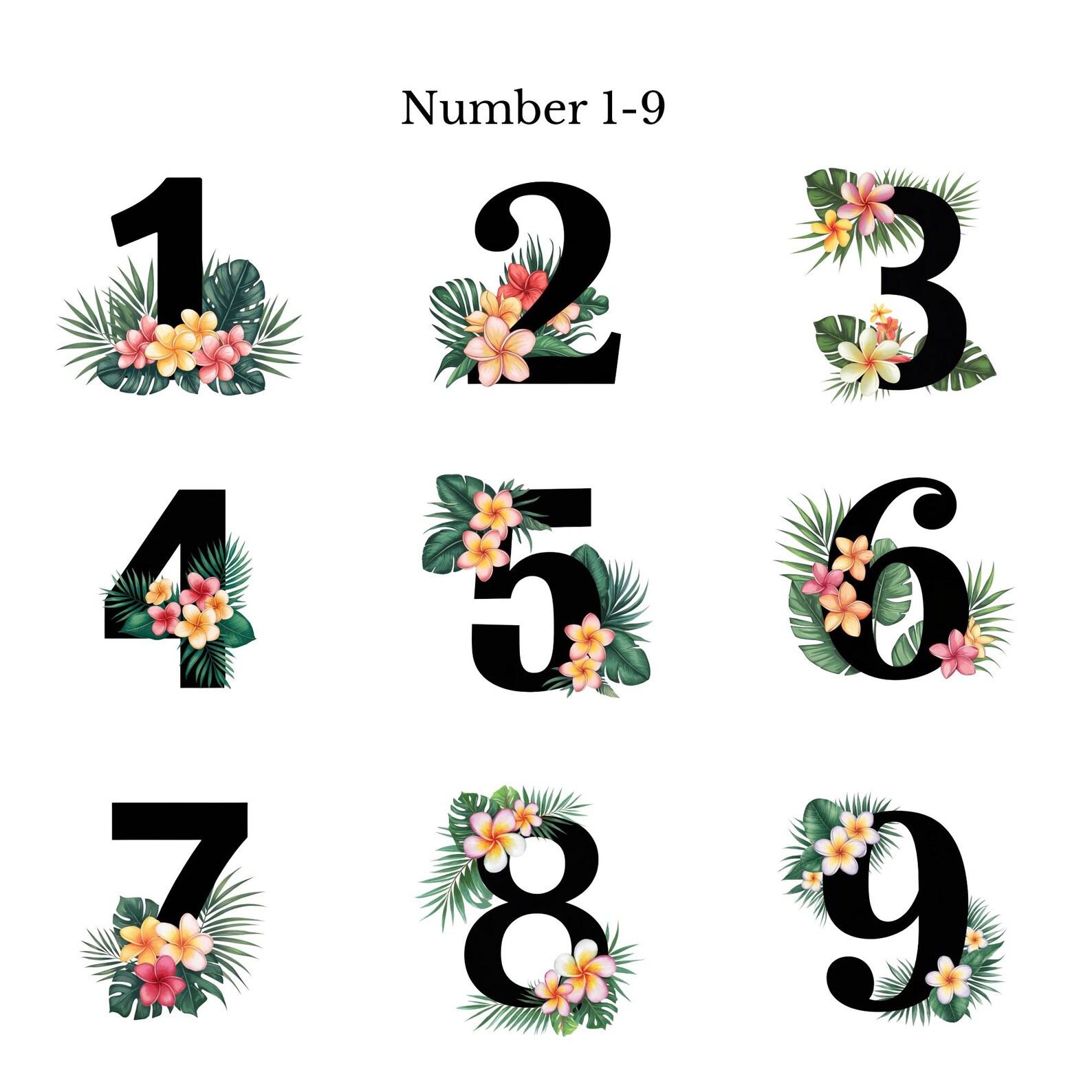 Tropical Floral Alphabet Clipart: Plumeria & Palm Letters (PNG, 300 DPI ...