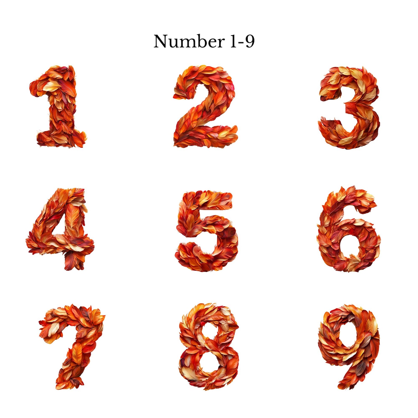 Turkey Feather Alphabet A-Z & Numbers 1-9 Clip Art, Colorful Feathers ...