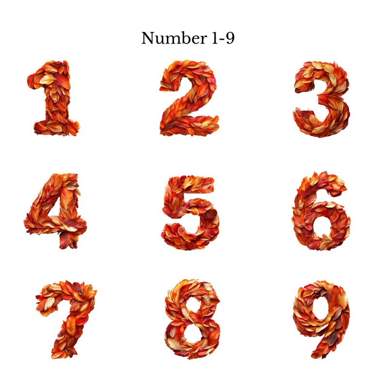 Turkey Feather Alphabet A-Z & Numbers 1-9 Clip Art, Colorful Feathers ...