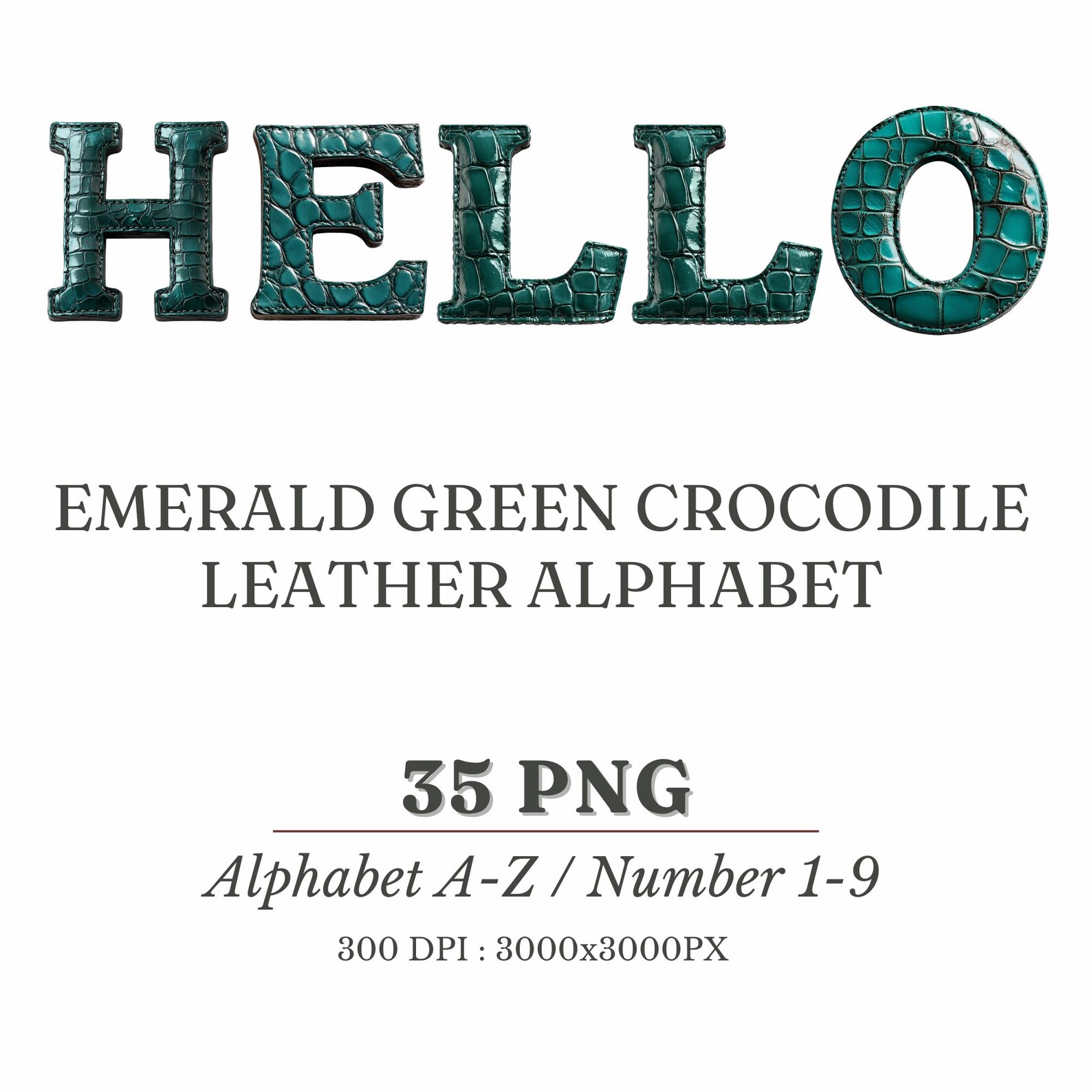 Emerald Green Crocodile Leather Alphabet & Numbers Clip Art (PNG ...