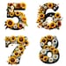 Sunflower & Daisy Alphabet and Numbers PNG Set With Commercial License ...