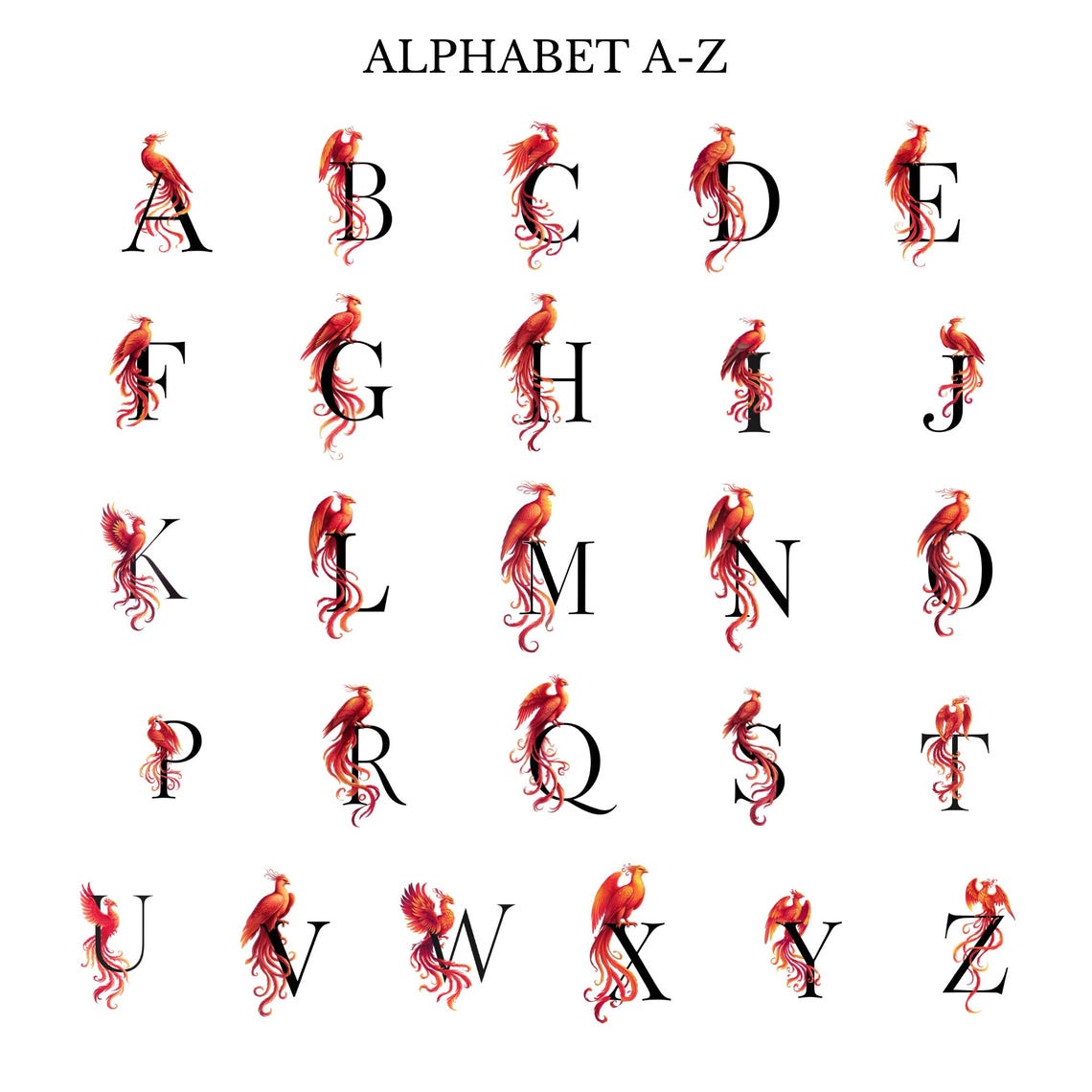 Majestic Phoenix Alphabet Clipart A-Z & Numbers 1-9, Firebird ...