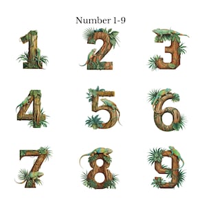 Tropical Jungle Alphabet A-Z Numbers 1-9 Clip Art - 300 DPI PNG - Lush ...