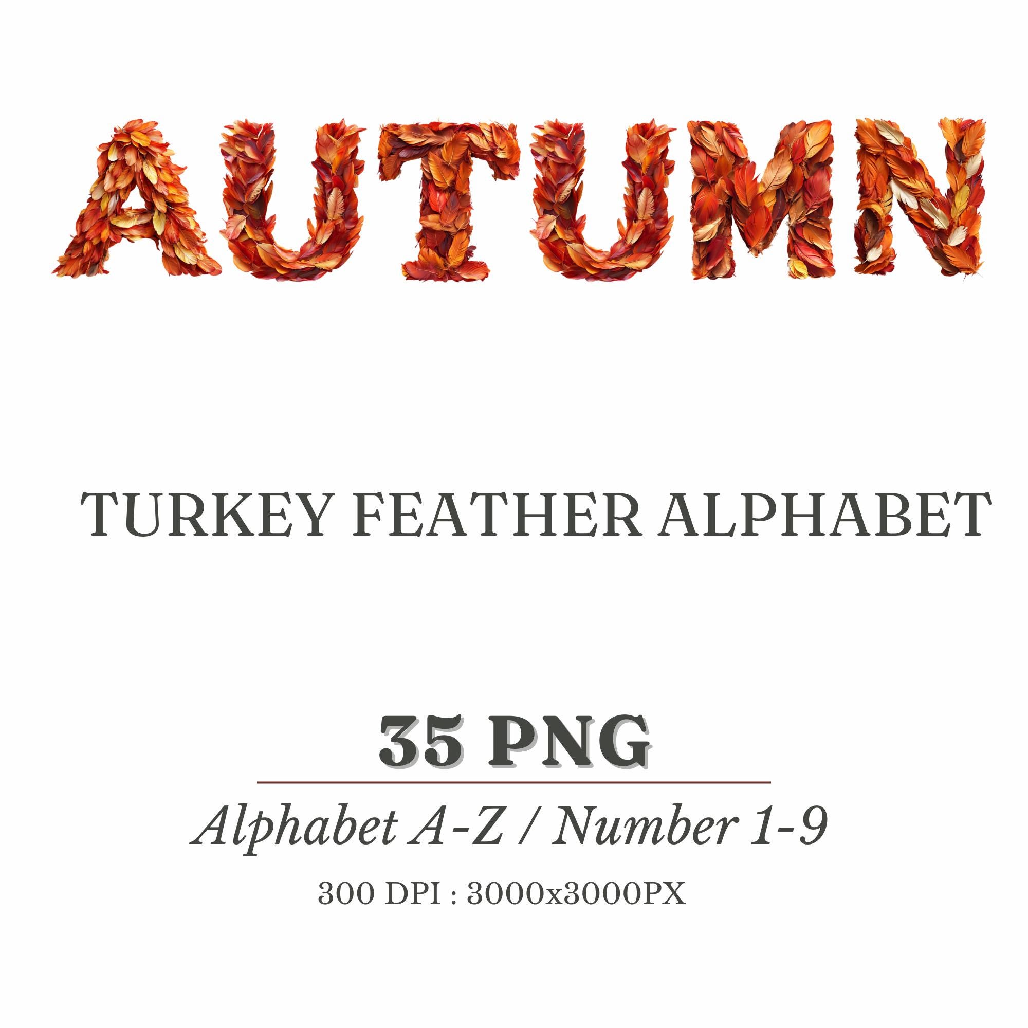 Turkey Feather Alphabet A-Z & Numbers 1-9 Clip Art, Colorful Feathers ...