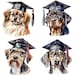Graduation Dogs Clipart: Academic Dog Breeds PNG (digital Download) - Etsy