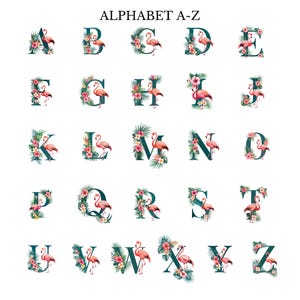 Tropical Flamingo Alphabet Letters A-Z, Numbers 1-9 PNG, Hawaiian ...