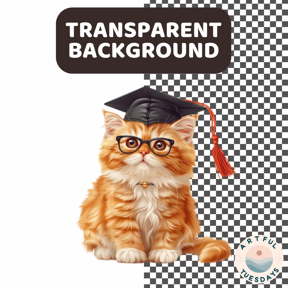 Graduated Cats Clipart: Academic Cat Breeds PNG (digital Download) - Etsy