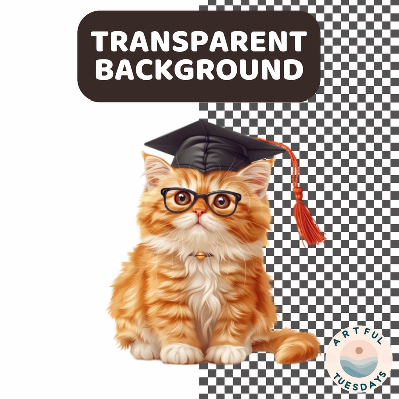 Graduated Cats Clipart: Academic Cat Breeds PNG (digital Download) - Etsy