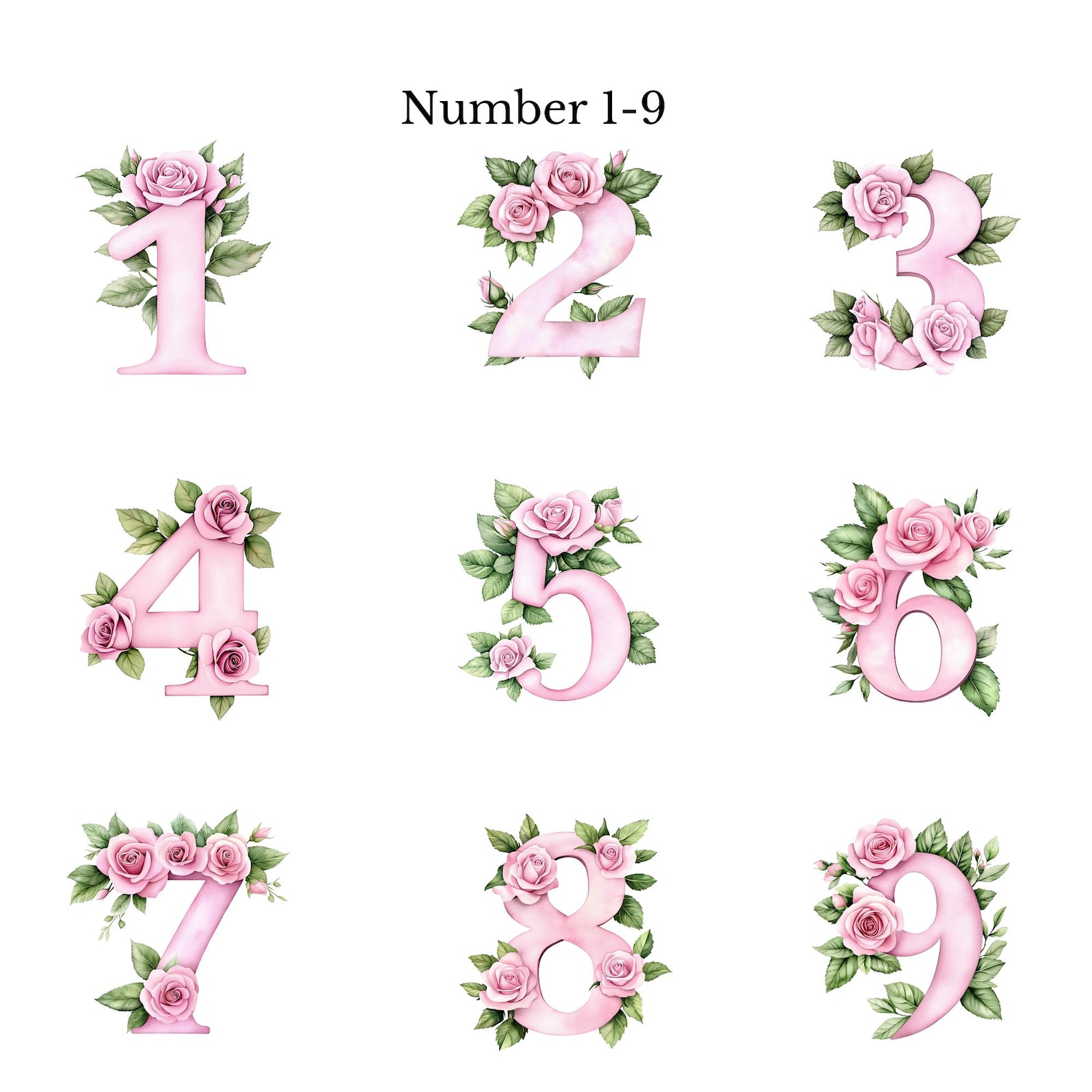 Floral Pink Rose Alphabet A-Z & Numbers 1-9 PNG, Watercolor Pink Rose ...