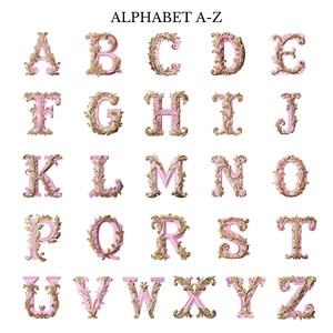 Luxury Baroque Pink & Gold Alphabet A-Z Numbers 1-9 PNG, Ornate Letters ...