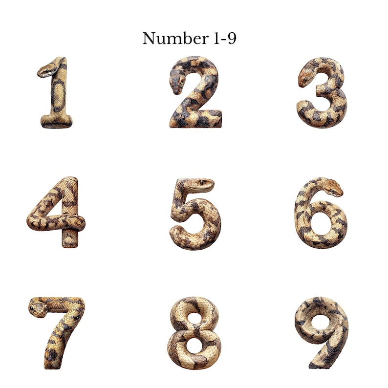 Snake Skin Alphabet Letters A-Z & Numbers 1-9 Clip Art – 300 DPI PNG ...