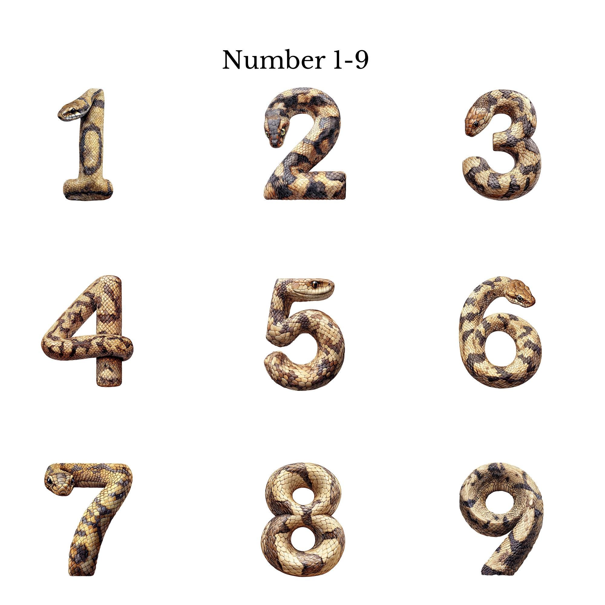 Snake Skin Alphabet & Numbers Clip Art: Watercolor PNG (digital ...
